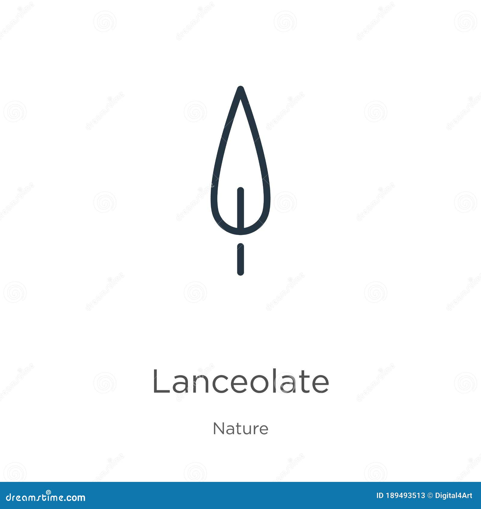 Lanceolate Icon Vector Sign And Symbol Isolated On White Background ...