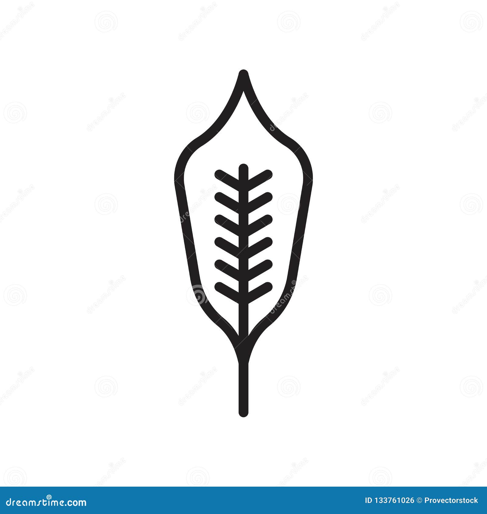 Lanceolate Icon. Thin Linear Lanceolate Outline Icon Isolated On White ...