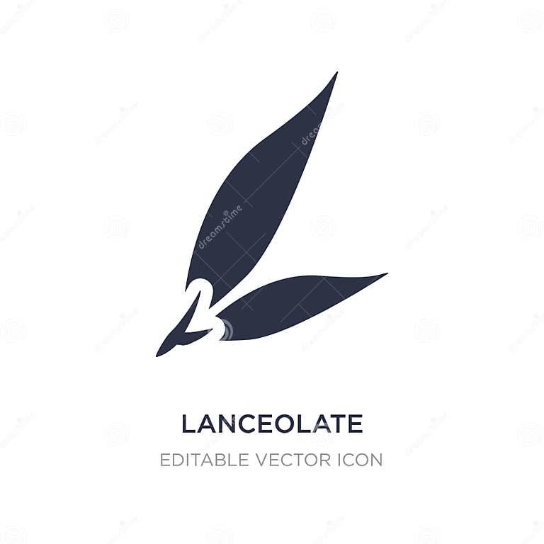 Lanceolate Icon on White Background. Simple Element Illustration from ...