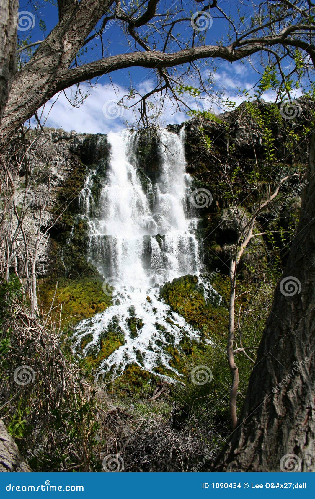 Land of 1000 Springs 10 stock photo. Image of fresh, heaven - 1090434