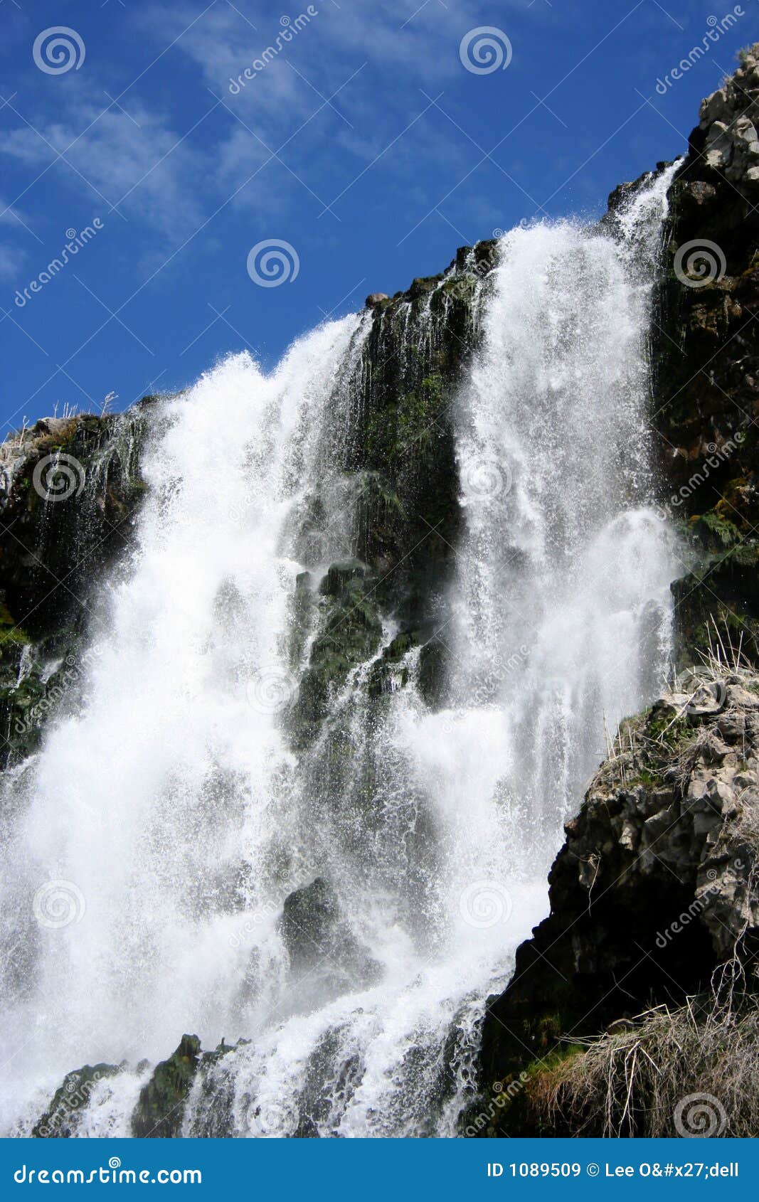 Land of 1000 Springs 5 stock image. Image of pure, fresh - 1089509