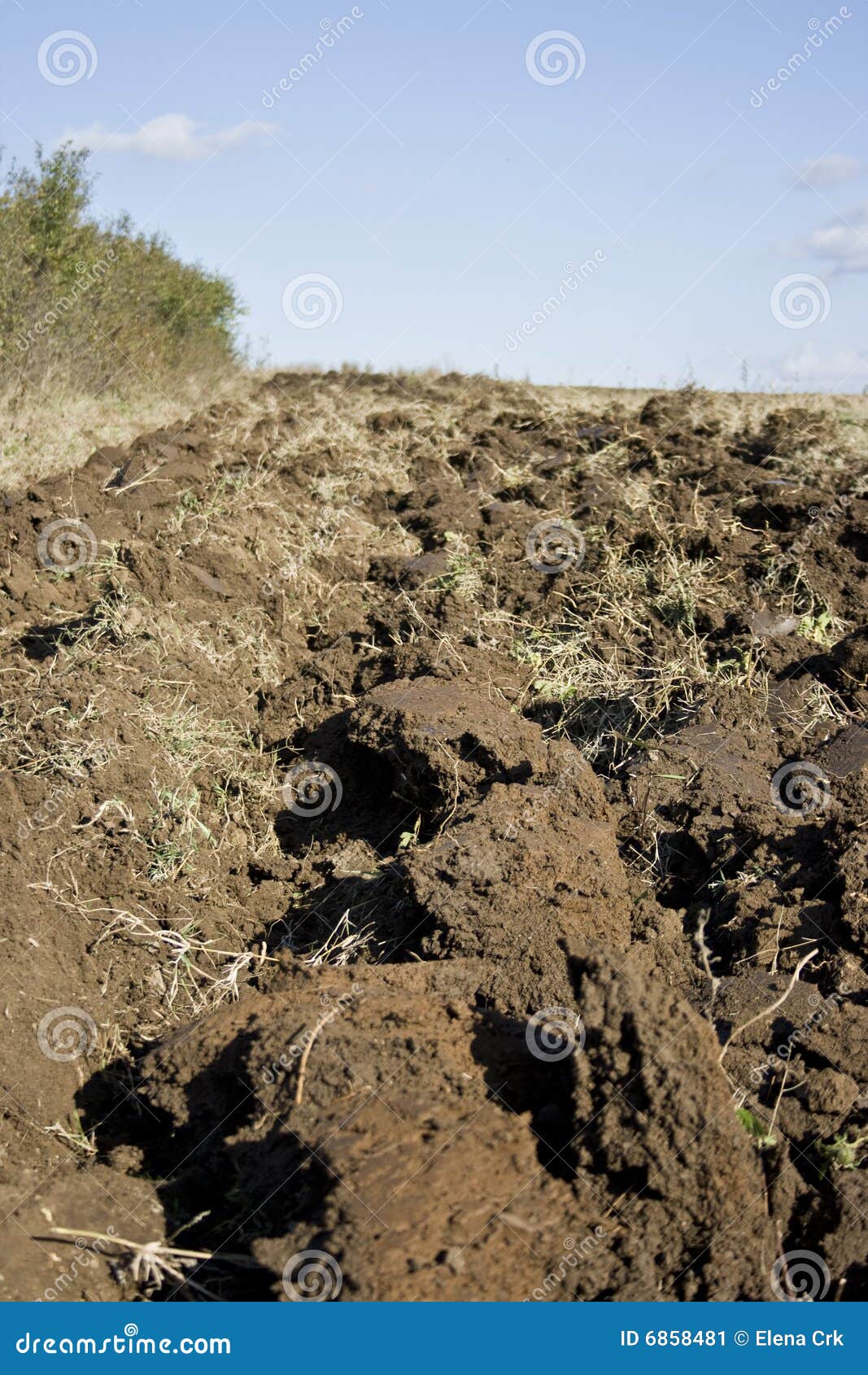 Land stock image. Image of farm, landscape, dirt, life - 6858481