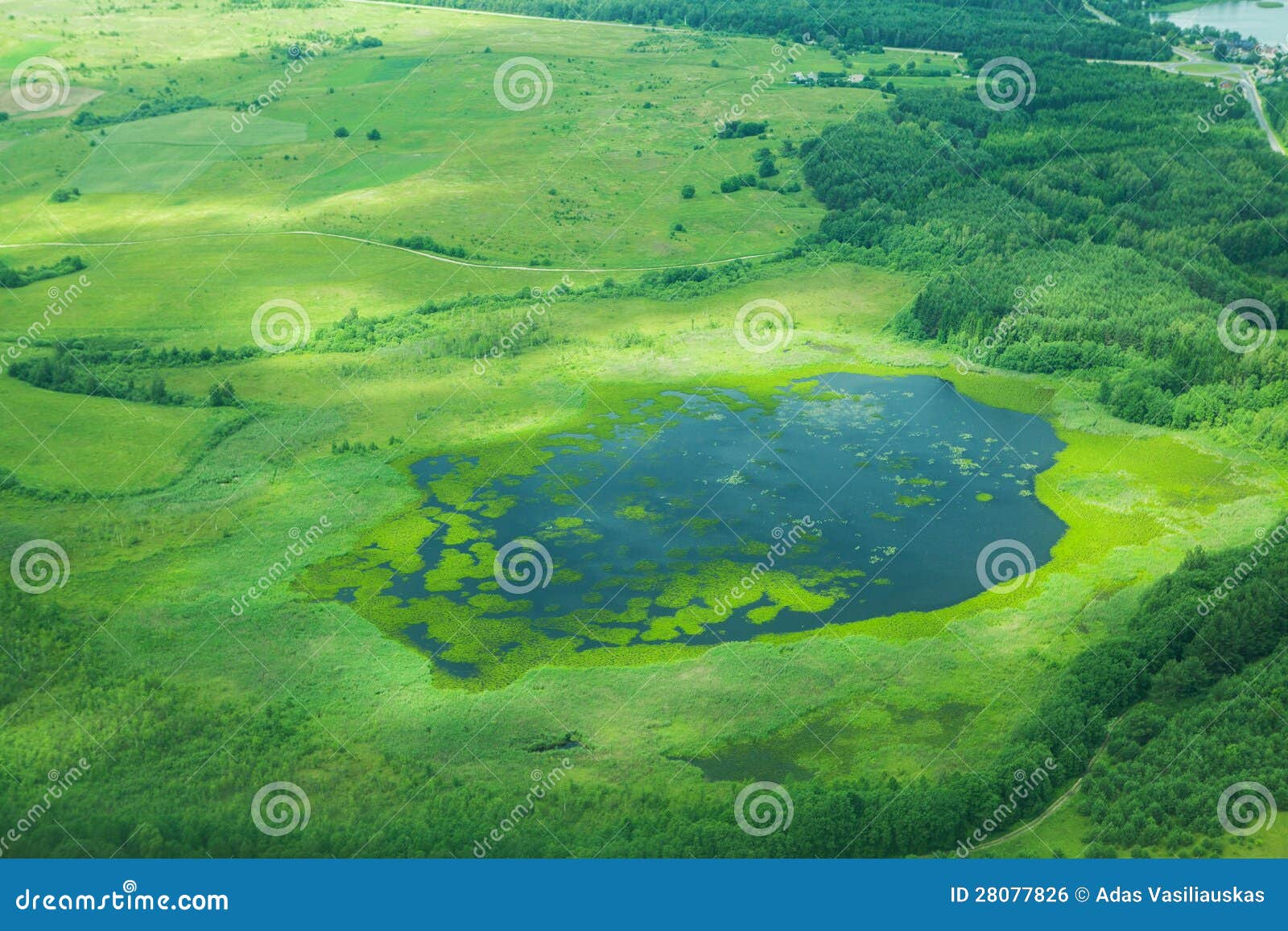 Land from above stock photo. Image of country, land, birds - 28077826
