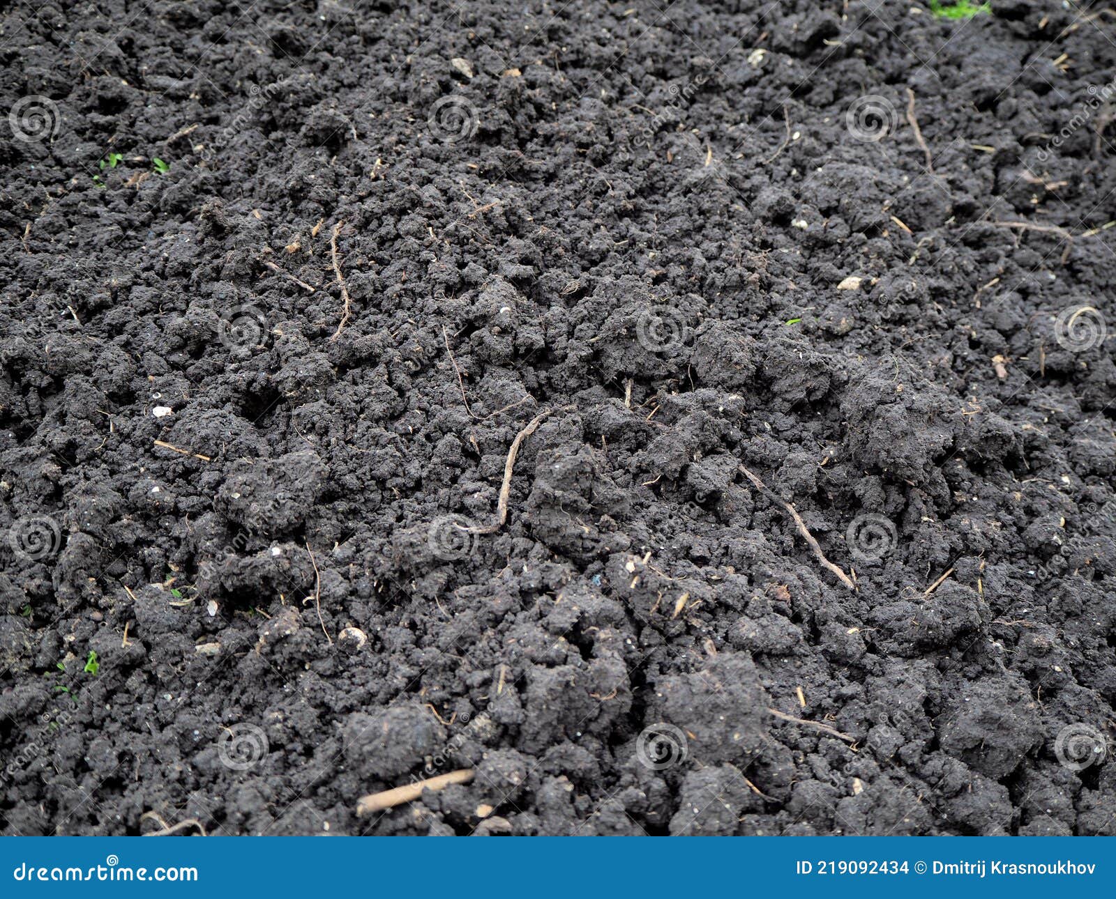 Earth Black Raw Background Peat Plants Stock Photos - Free & Royalty ...