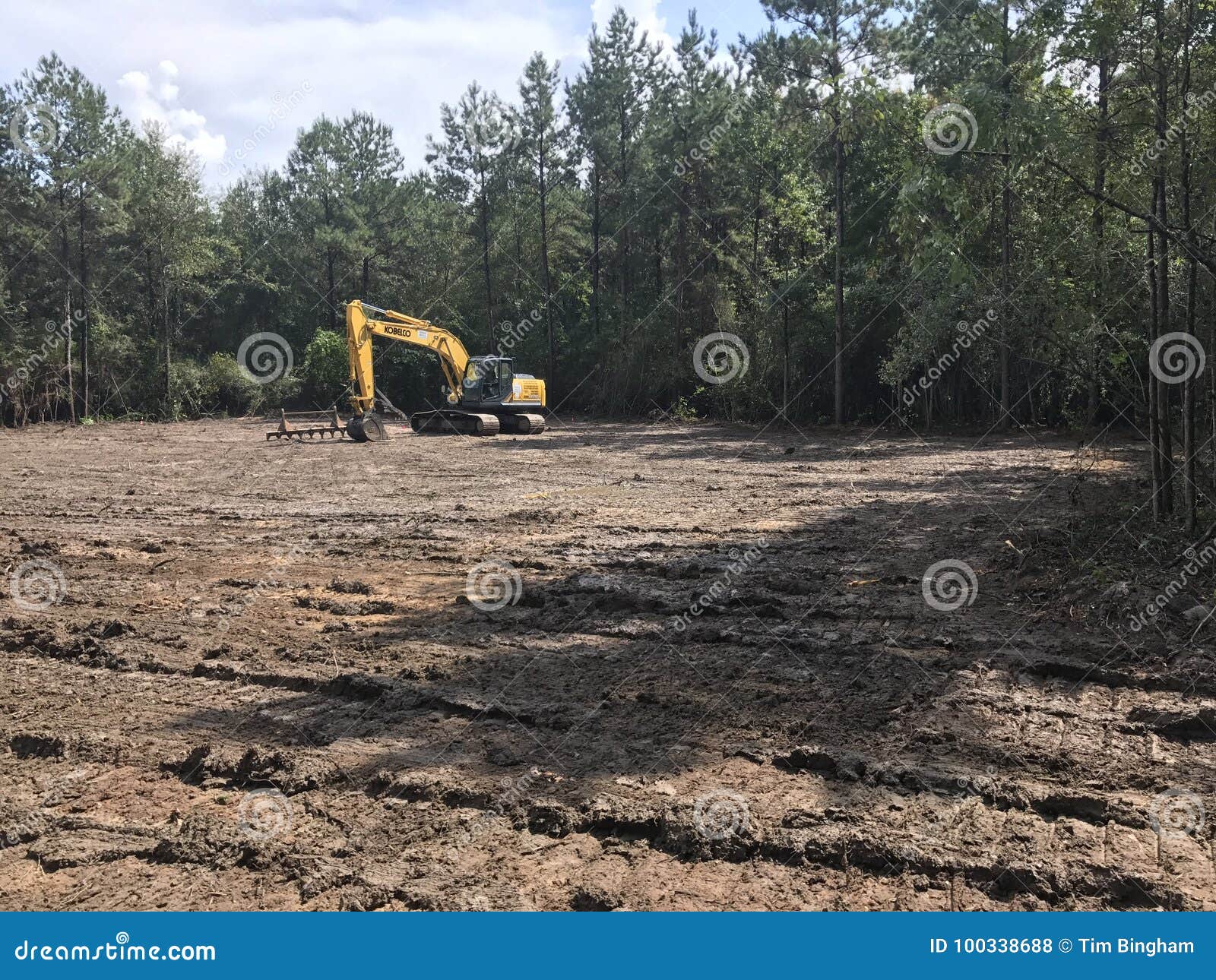 Land Clearing and Logging Timber Editorial Stock Photo - Image of ...