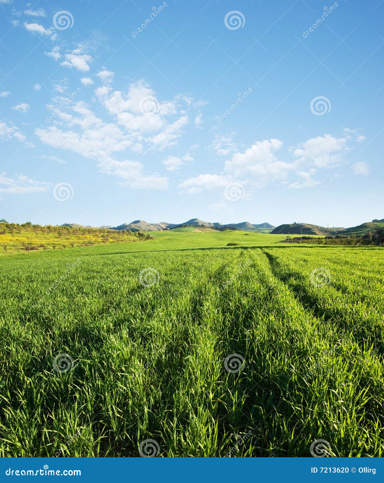 Land Covered by Green Grass Stock Photo - Image of farming, agriculture ...