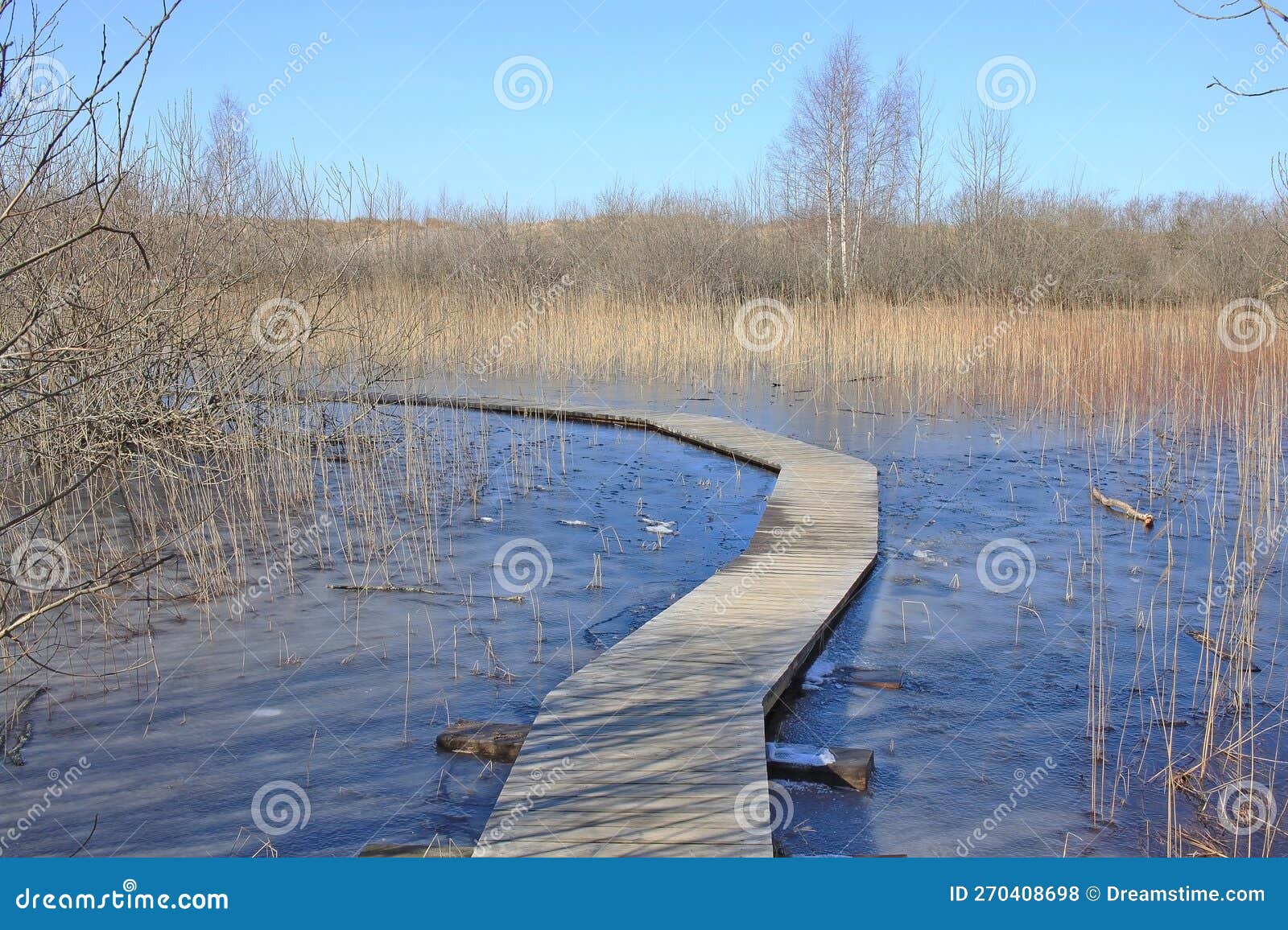 Early spring landscape stock photo. Image of april, flood - 270408698