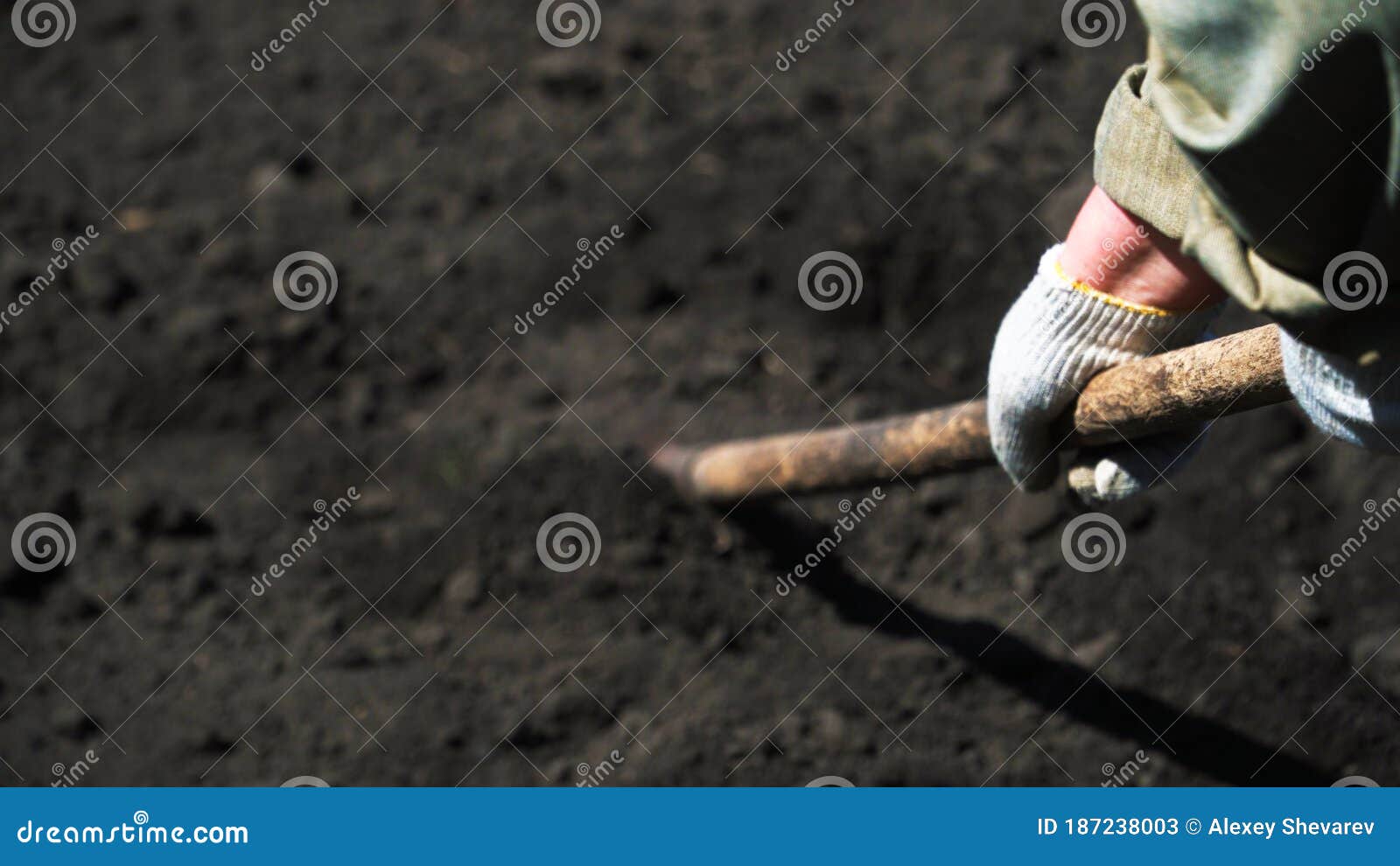 Land Cultivation with Hand Tools Stock Image - Image of equipment ...