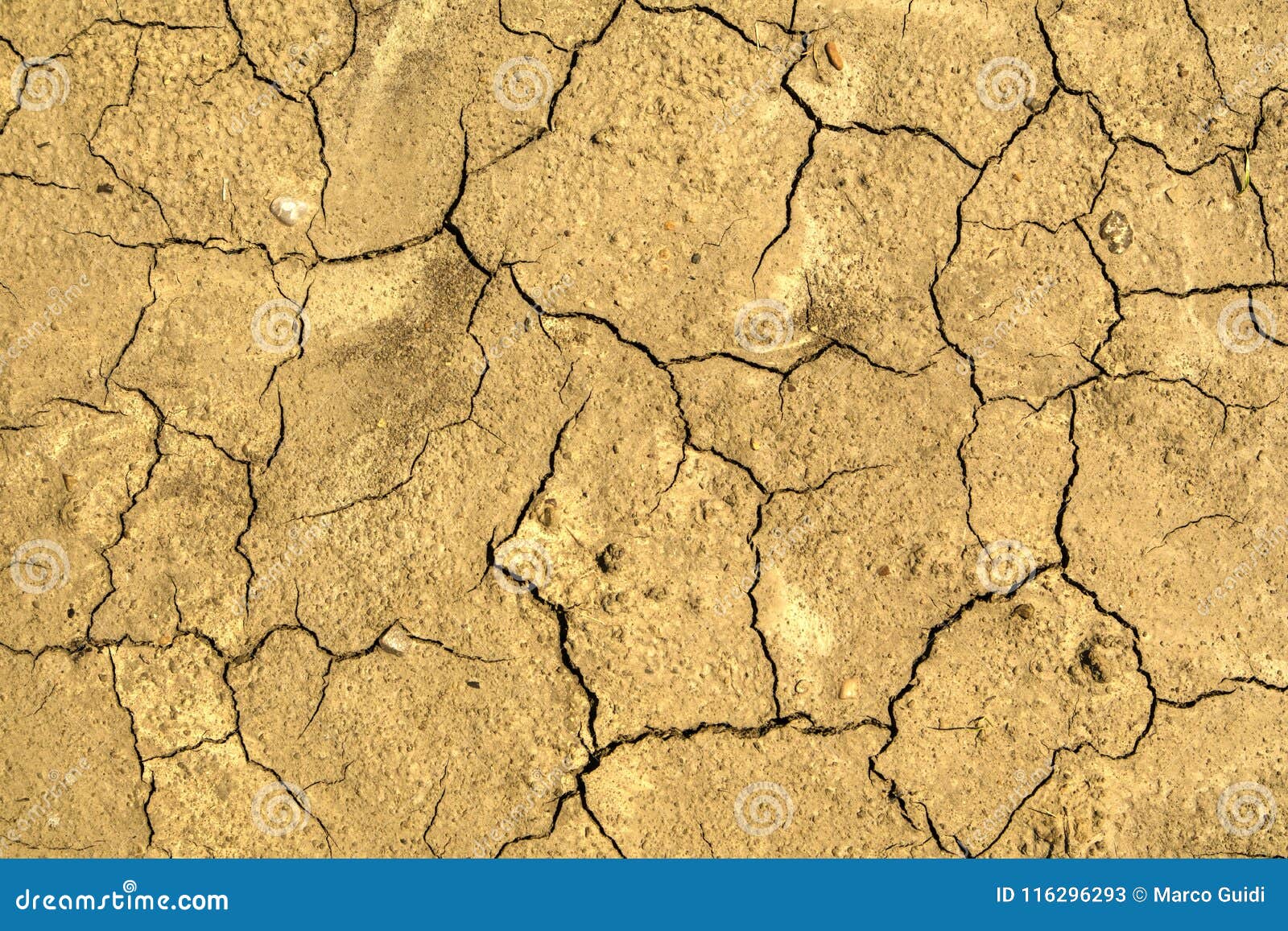 Land damaged by drought stock image. Image of erosion - 116296293
