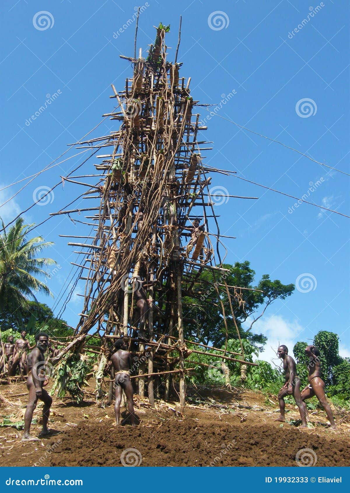 Land Diving Ceremony editorial stock photo. Image of ceremonial - 19932333