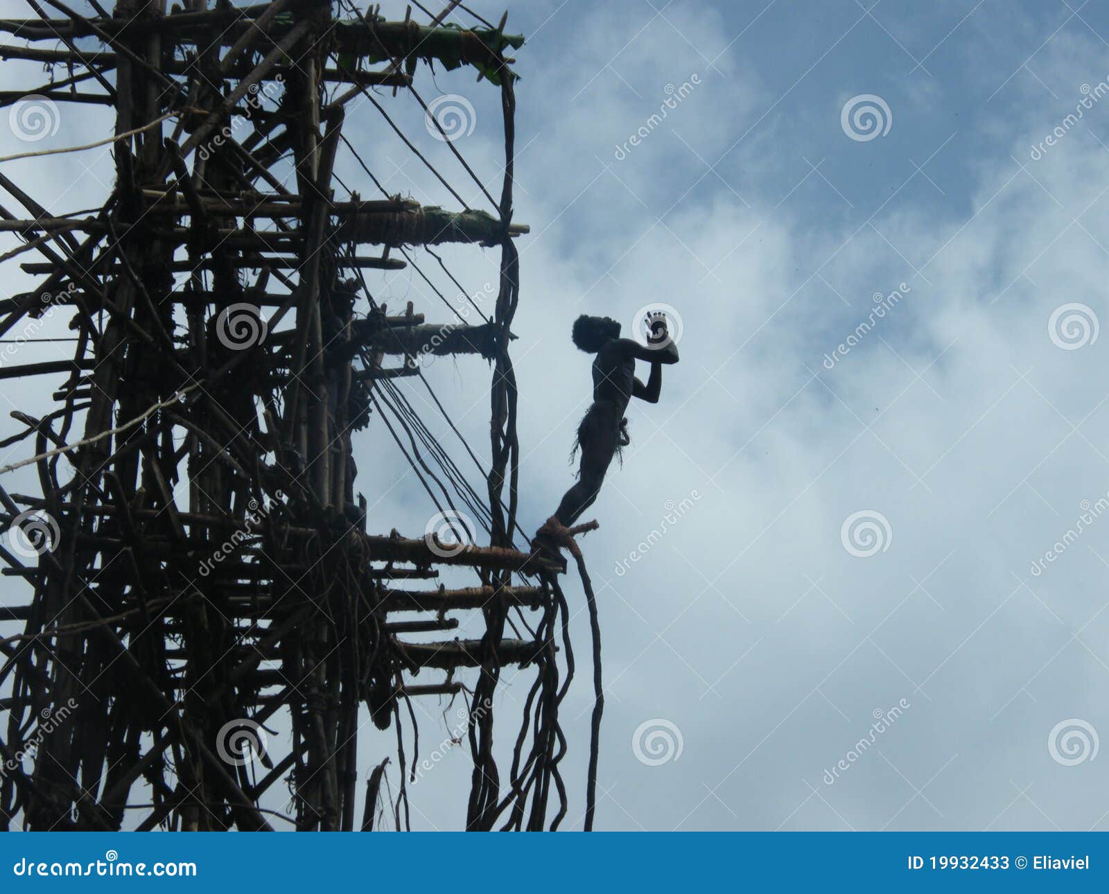 Land Diving Ceremony in Vanuatu Editorial Stock Photo - Image of dive ...