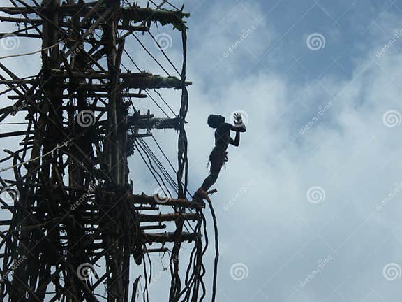 Land Diving Ceremony in Vanuatu Editorial Stock Photo - Image of dive ...