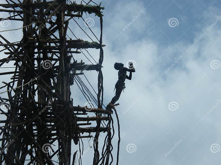 Land Diving Ceremony in Vanuatu Editorial Stock Photo - Image of dive ...