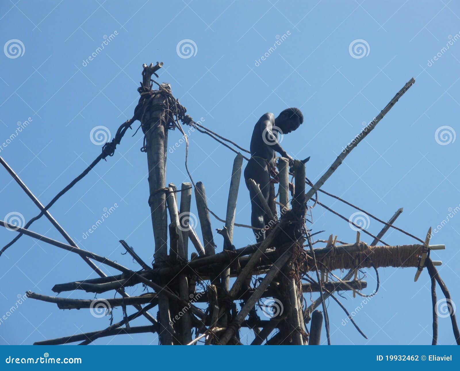 Land Diving Ceremony in Vanuatu Editorial Photography - Image of bungy ...