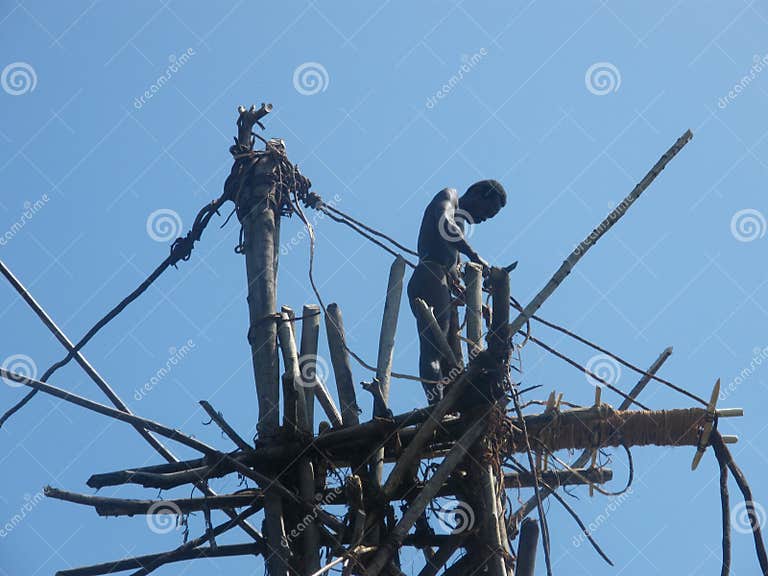 Land Diving Ceremony in Vanuatu Editorial Photography - Image of bungy ...