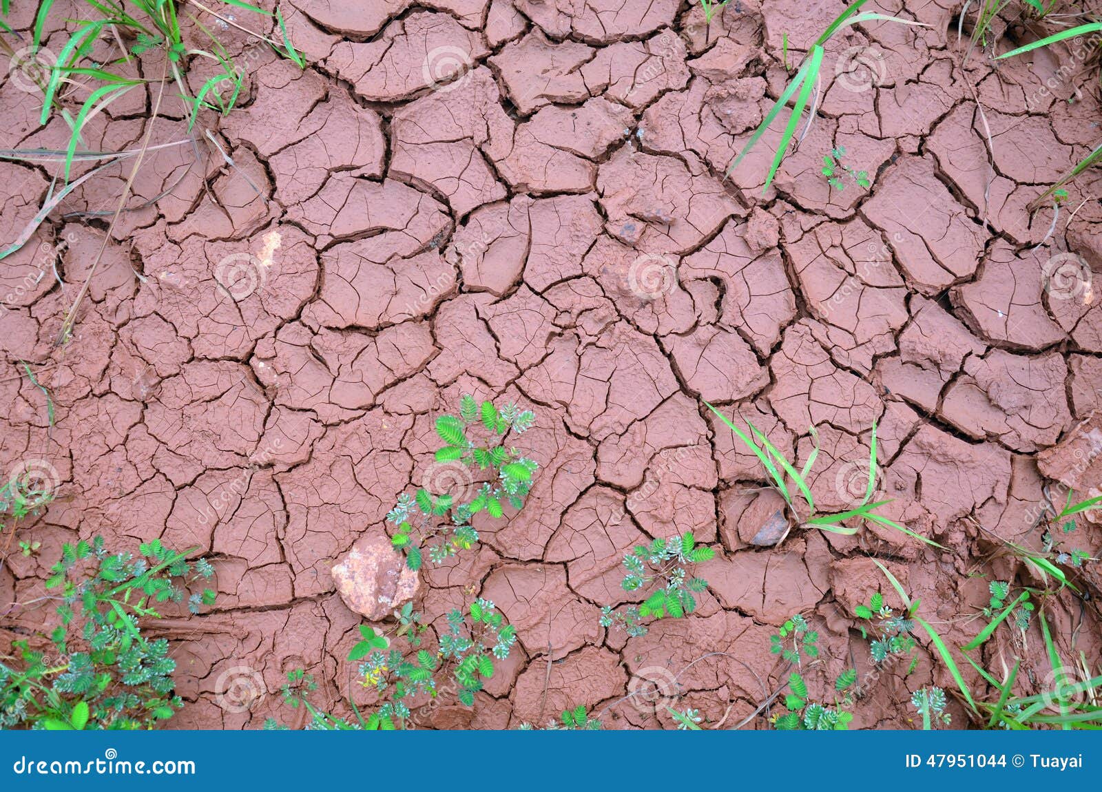 Land Dry Background stock photo. Image of damaged, natural - 47951044