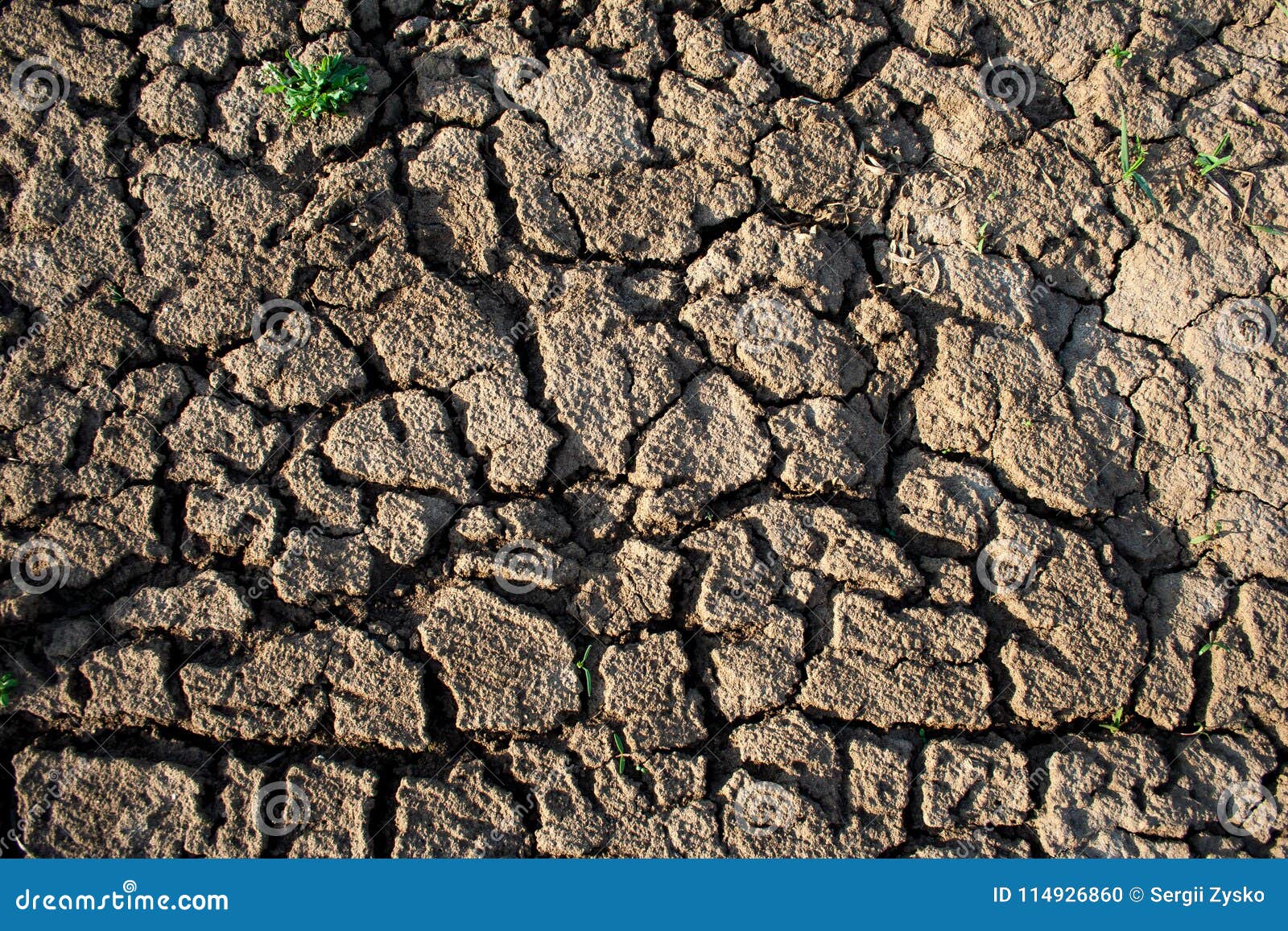 Land with Dry and Cracked Ground. Stock Photo - Image of rough, earth ...
