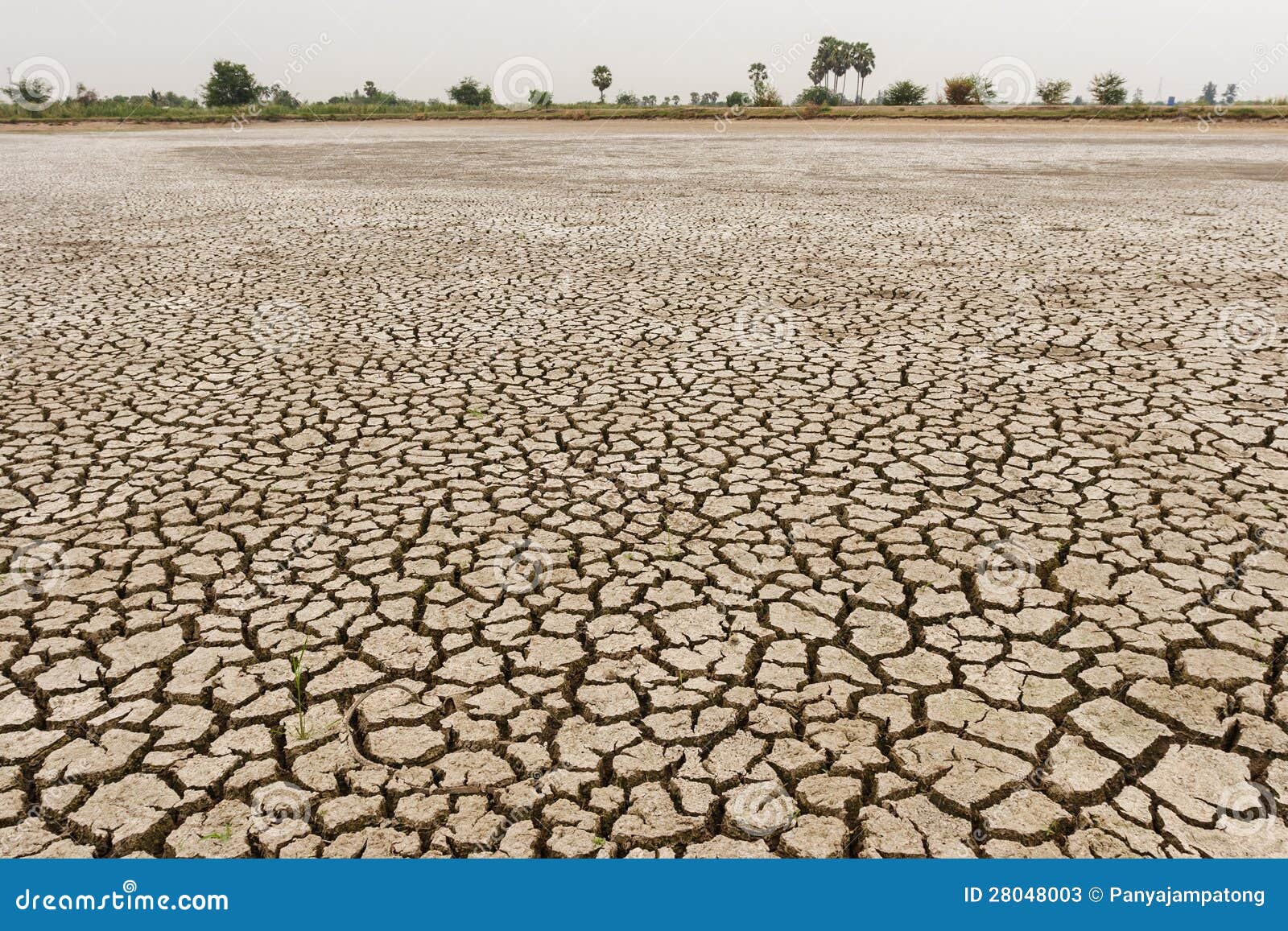 Land With Dry And Cracked Ground Stock Photos - Image: 28048003