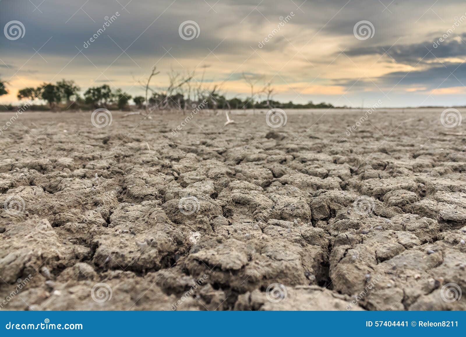 Land with Dry and Cracked Ground. Desert Stock Image - Image of ...