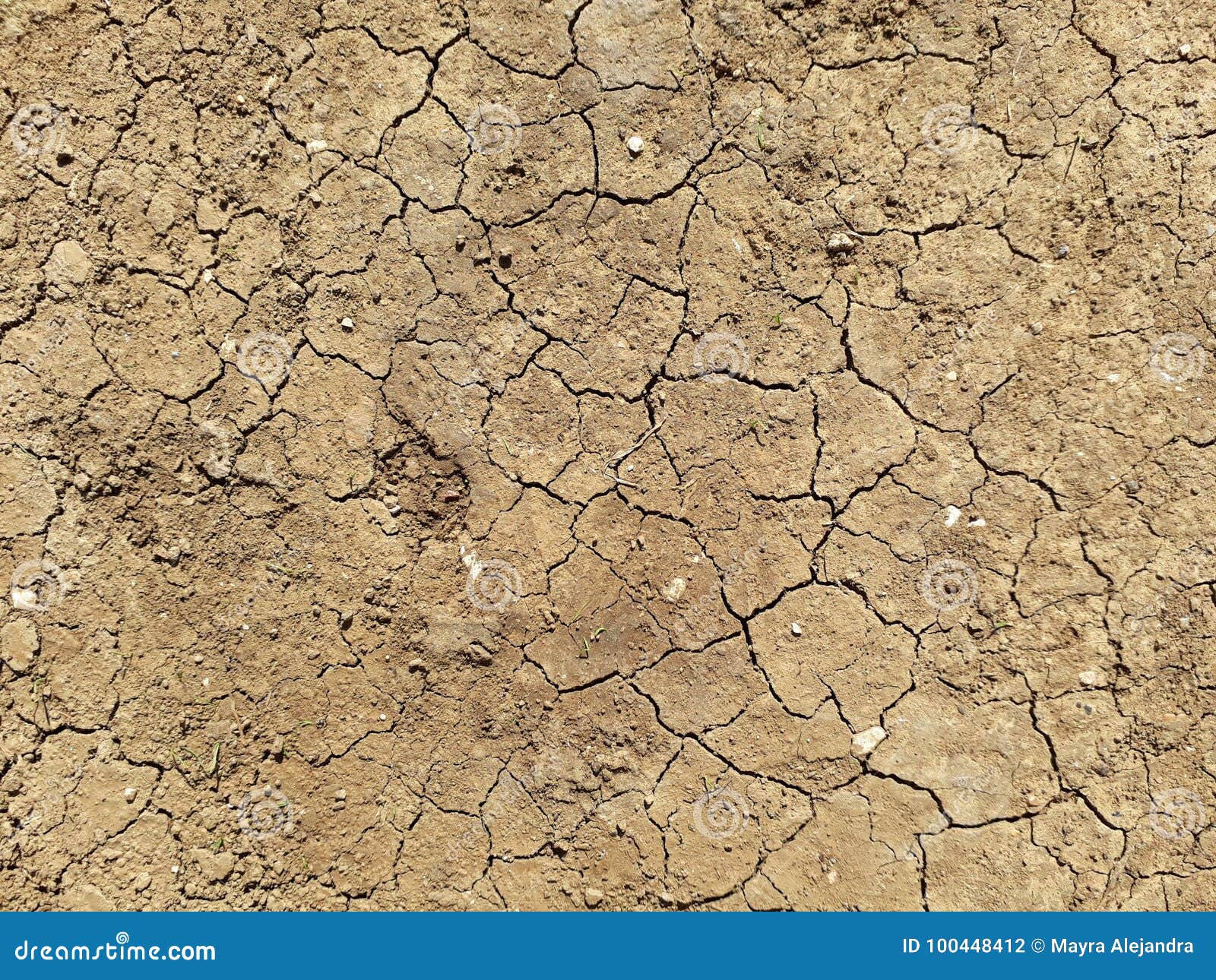 Land earth stock photo. Image of soil, outdoon, drought - 100448412