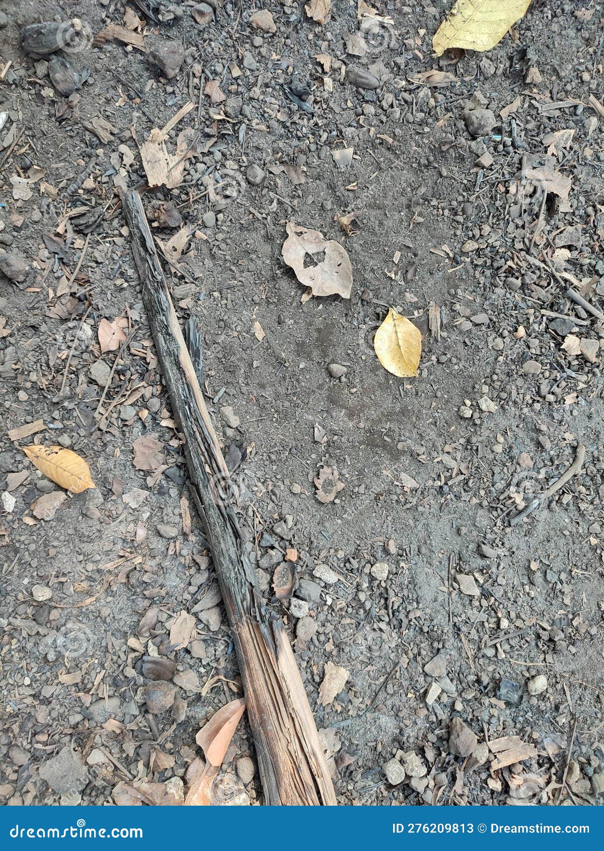 Soil Affected by Fire and Burning in the Garden Stock Image - Image of ...