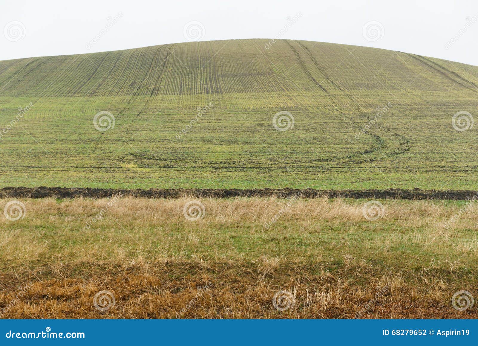 Land field for agriculture stock photo. Image of grow - 68279652