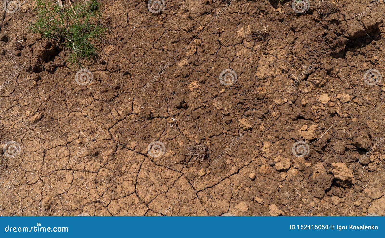 Land in the Field Cracked by Drought Stock Photo - Image of bouquet ...