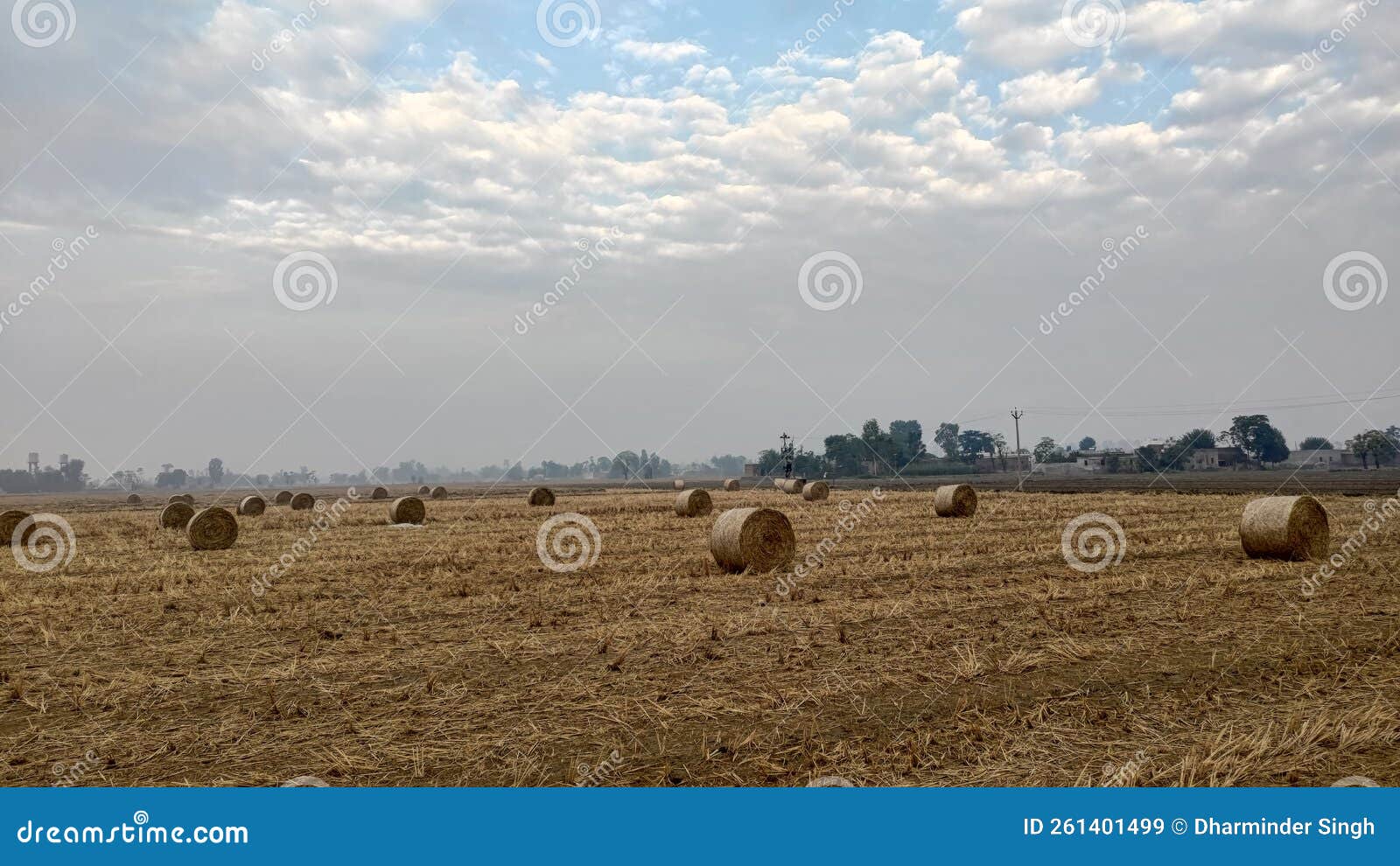 Land Filled with Hay Bale or Hay Bundles Under White Cloud Sky Stock ...
