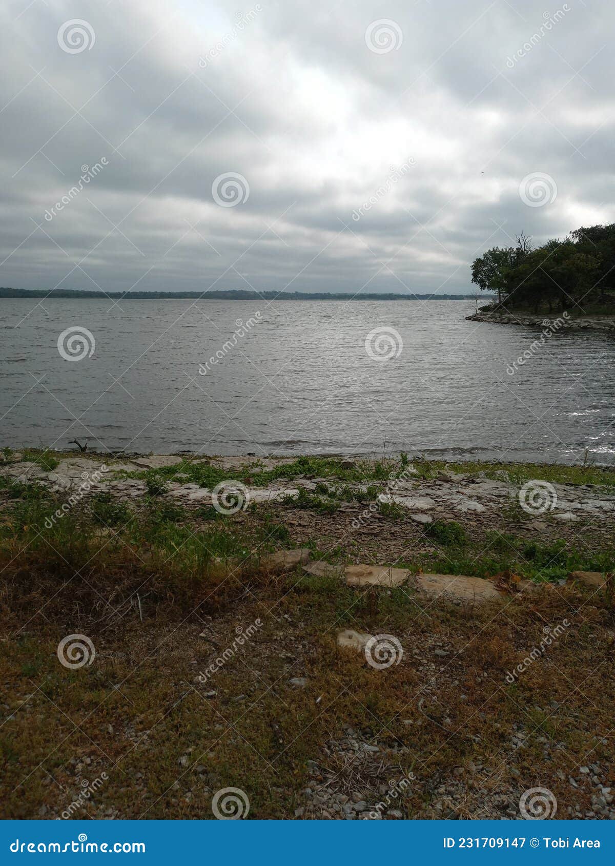 Land meets Water stock image. Image of nature, green - 231709147 Land meets Water stock image. Image of nature, green - 231709147