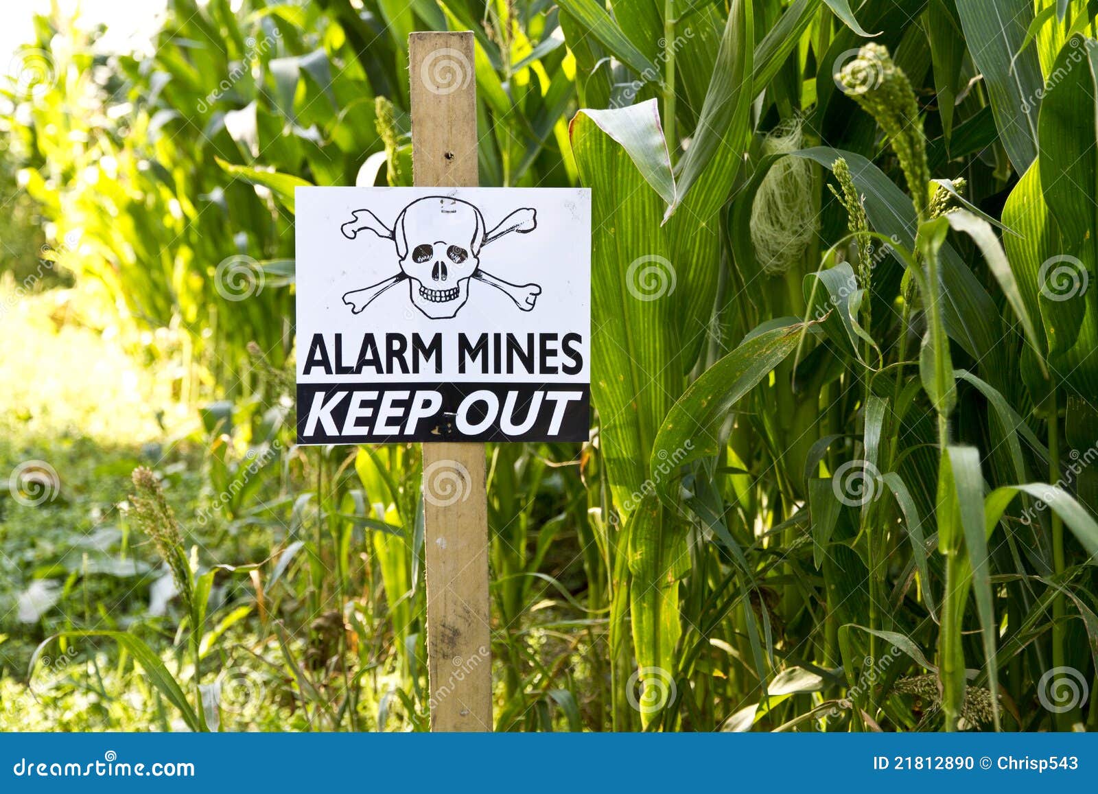 Land Mine Warning Sign stock photo. Image of beware, security - 21812890