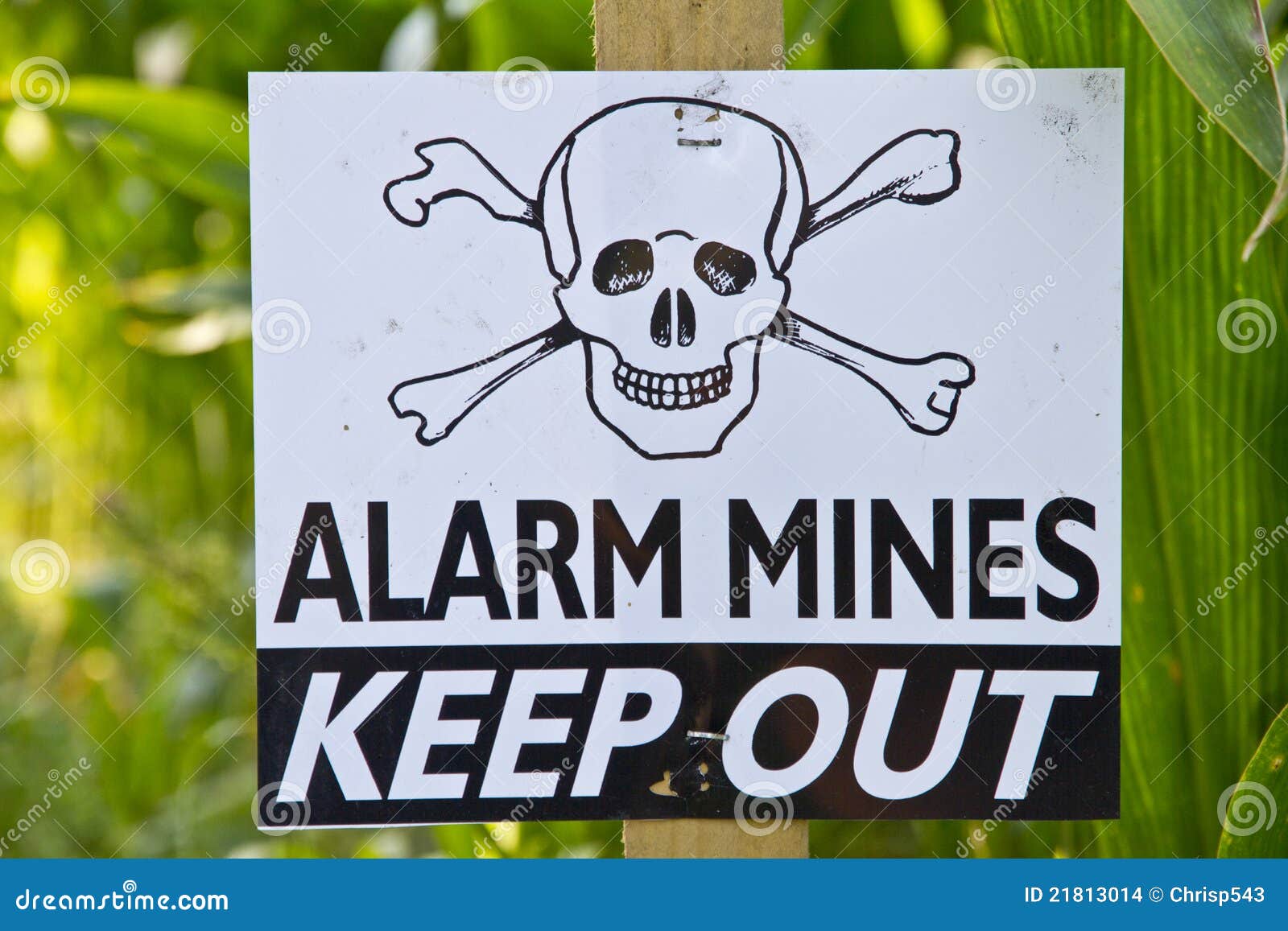 Land Mine Warning Sign stock photo. Image of caution - 21813014