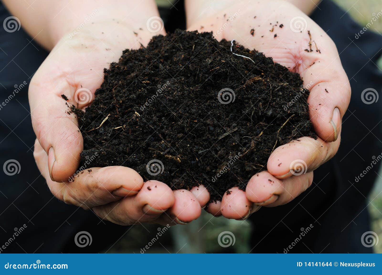 Land for planting stock photo. Image of holding, hand - 14141644