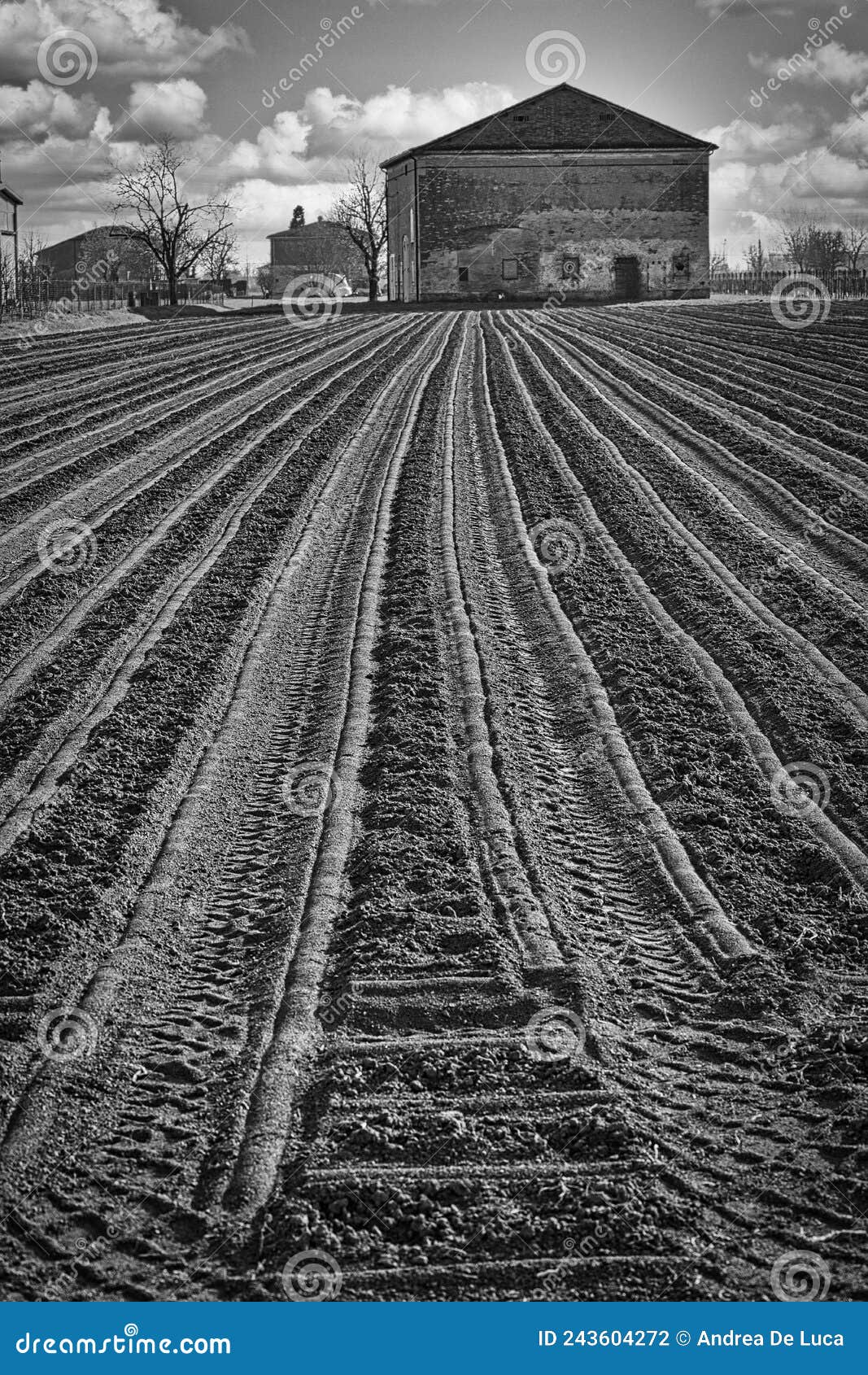 Land plowed to be sown stock photo. Image of blue, dirt - 243604272