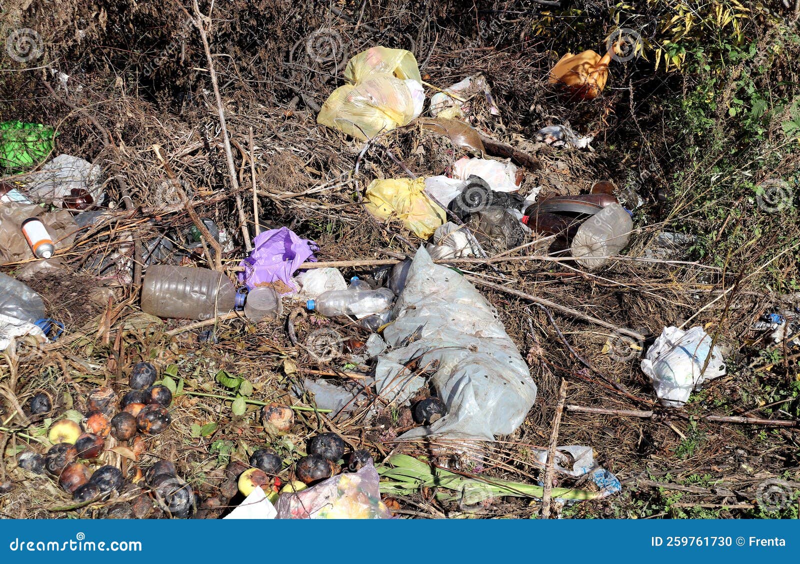 Land Pollution with Plastic Bags and Bottles. Plastic Garbage in Forest ...