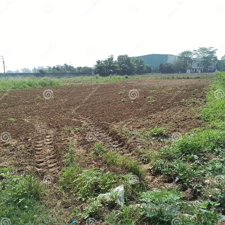 Land Processing Picture and Tractor Help Stock Image - Image of land ...