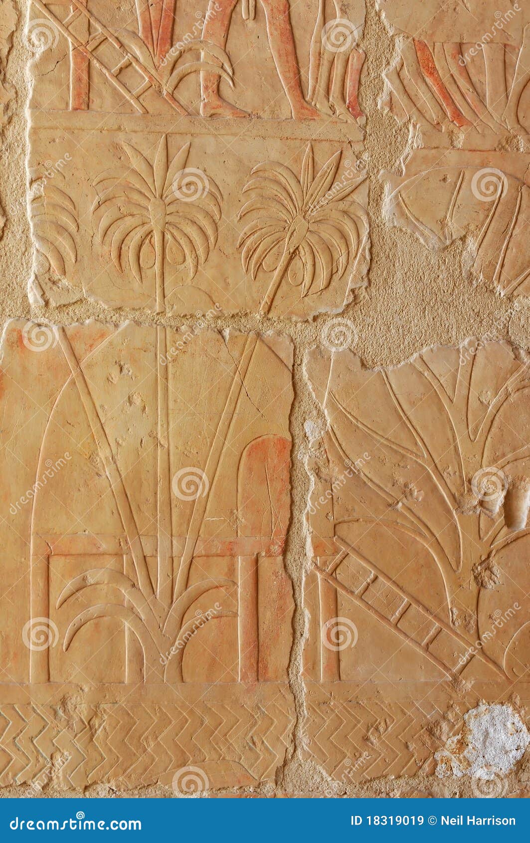 Land of Punt stock image. Image of somalia, punt, ancient - 18319019