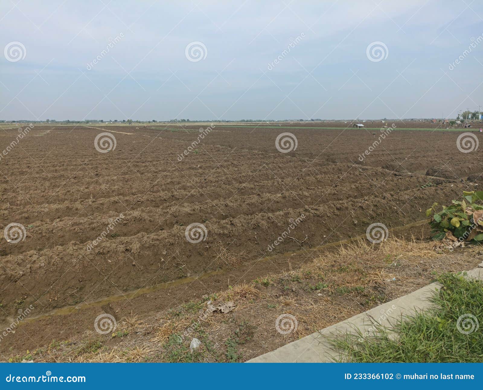 Land ready for planting stock photo. Image of planting - 233366102