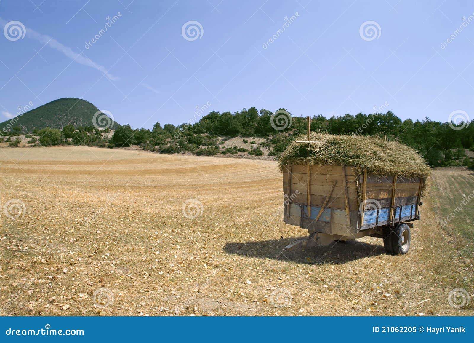 Land Ready To Be Cultivated Stock Image - Image of tree, field: 21062205