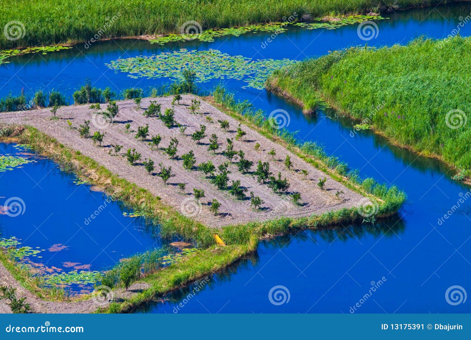 Land reclamation stock image. Image of land, field, cultivate - 13175391