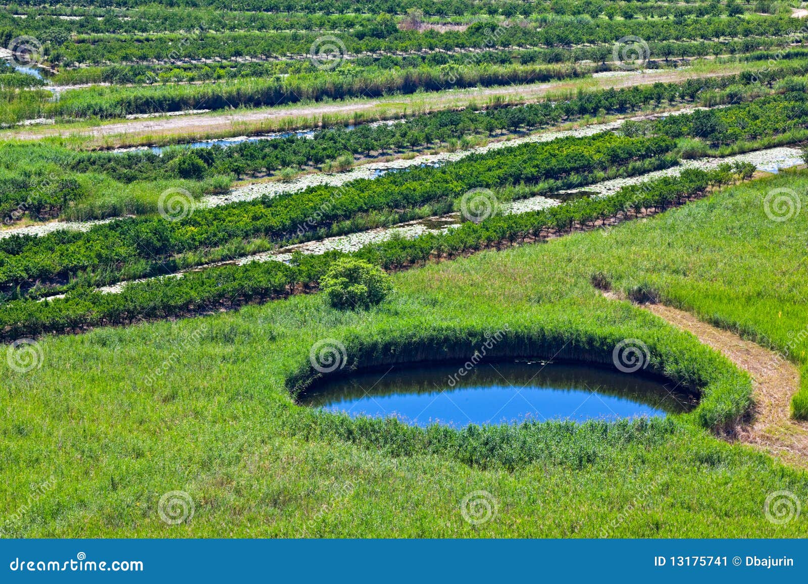 Land reclamation stock image. Image of nature, array - 13175741