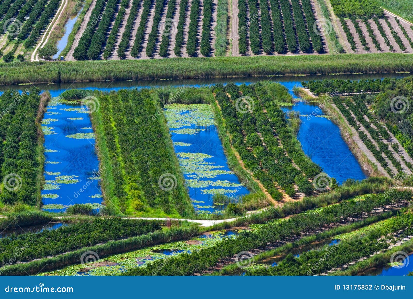 Land reclamation stock photo. Image of panoramic, kaleyard - 13175852