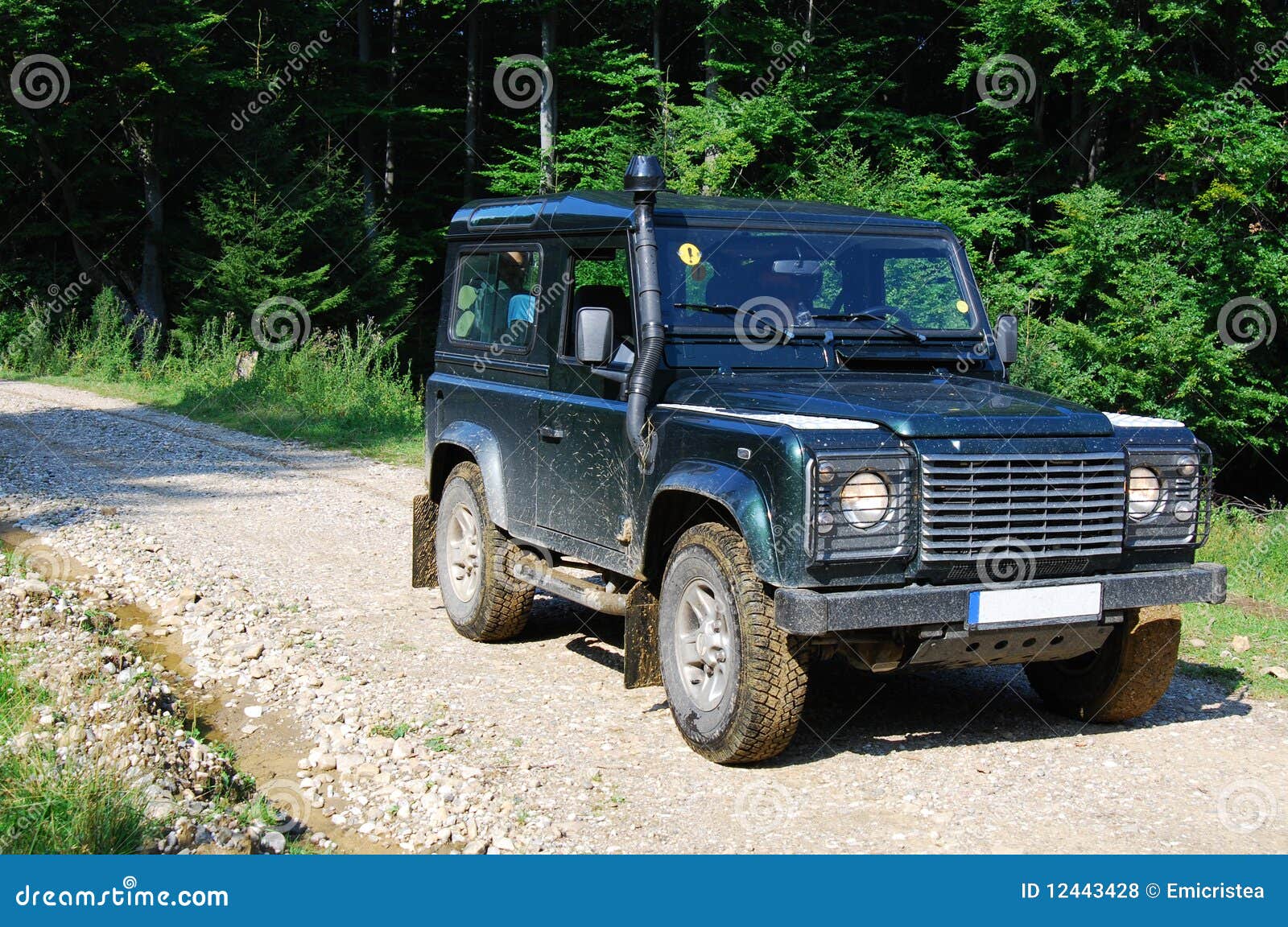 Land Rover Na Estrada De Floresta Foto de Stock - Imagem de trilha ...