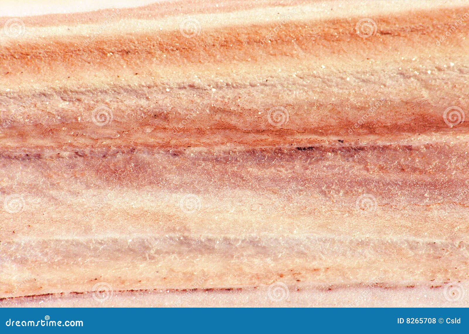 Land of salt stock photo. Image of australia, sunny, detail - 8265708