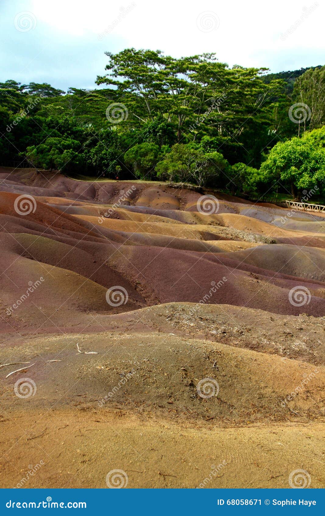 LAND of SEVEN COLORS stock image. Image of plant, land - 68058671