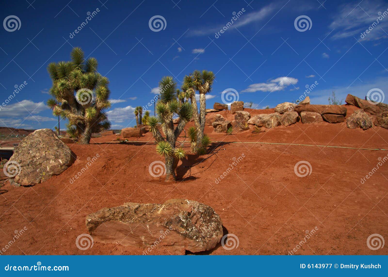 Land shaft of Utah stock image. Image of cactus, guide - 6143977