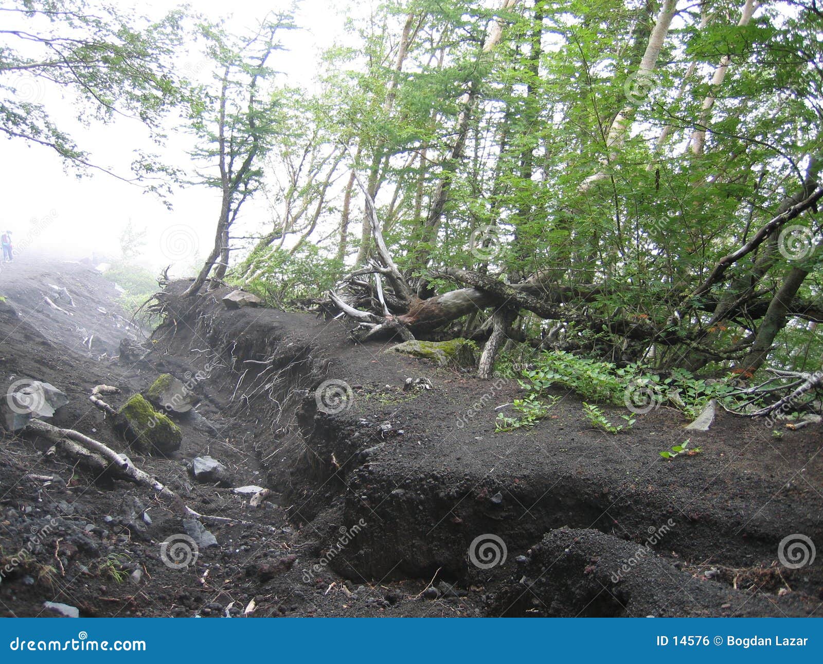Land Slide - Natural Cataclysm Stock Photo - Image of lava, life: 14576