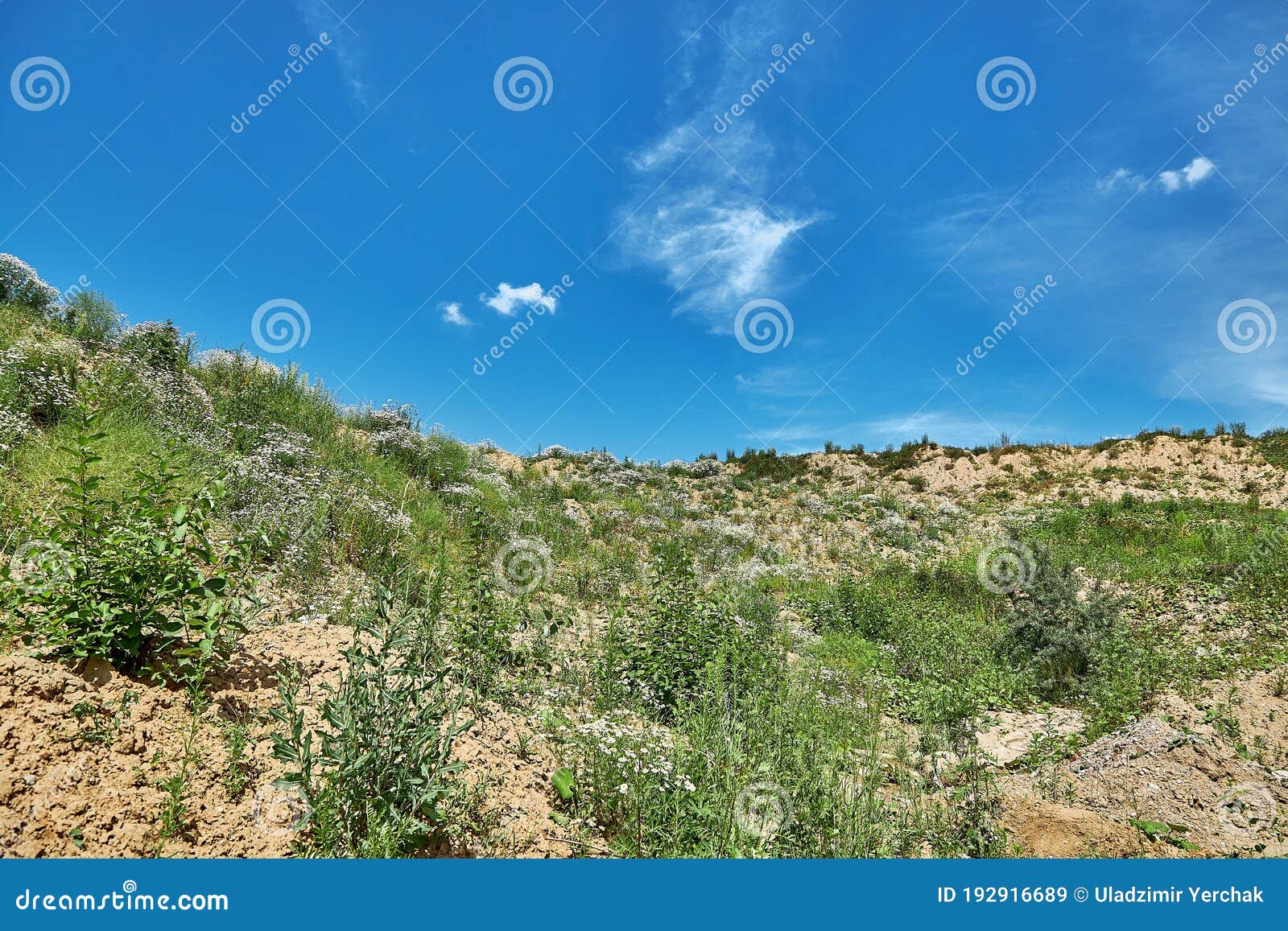 Land with Sparse Grass in Front of a Blue Sky Stock Image - Image of ...
