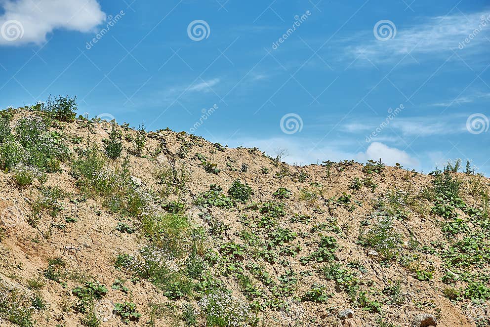 Land with Sparse Grass in Front of a Blue Sky Stock Image - Image of ...