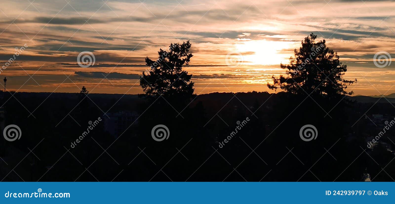 Land Sunset stock image. Image of light, dusk, trees - 242939797