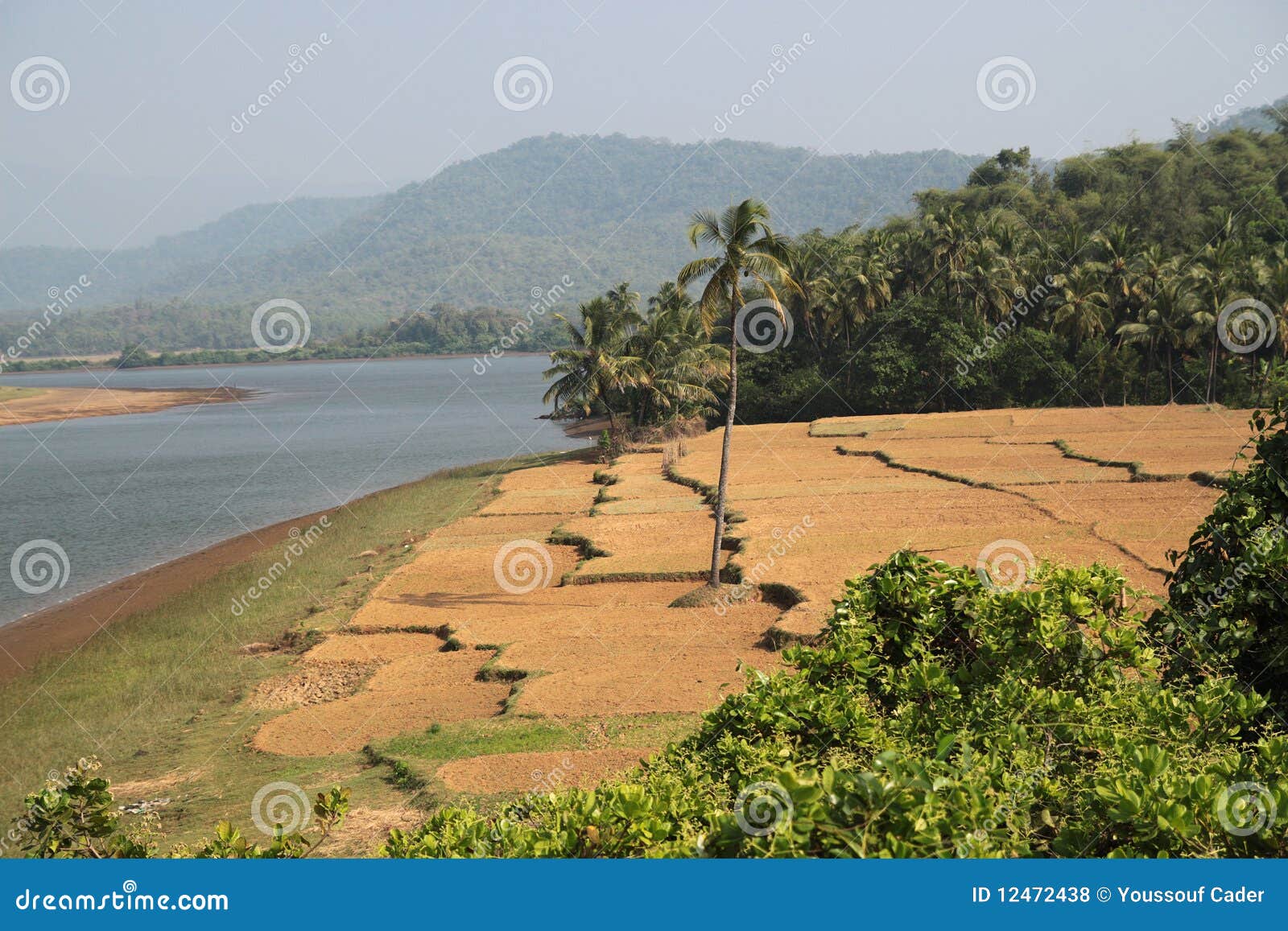 Land terracing stock photo. Image of cultivation, india - 12472438